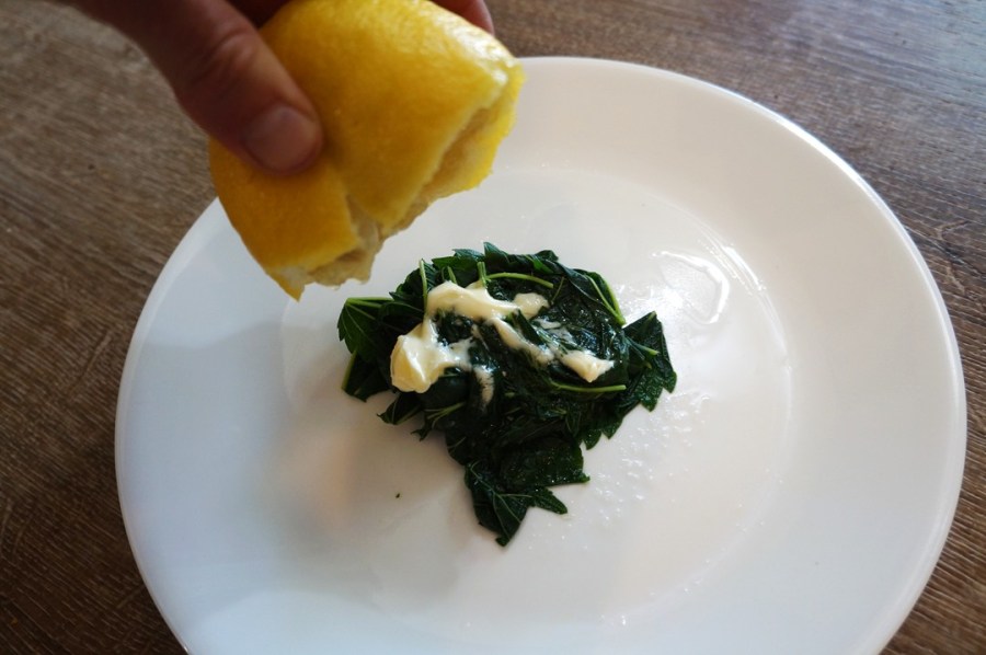 Foraging – South Dakota – Logan Spader