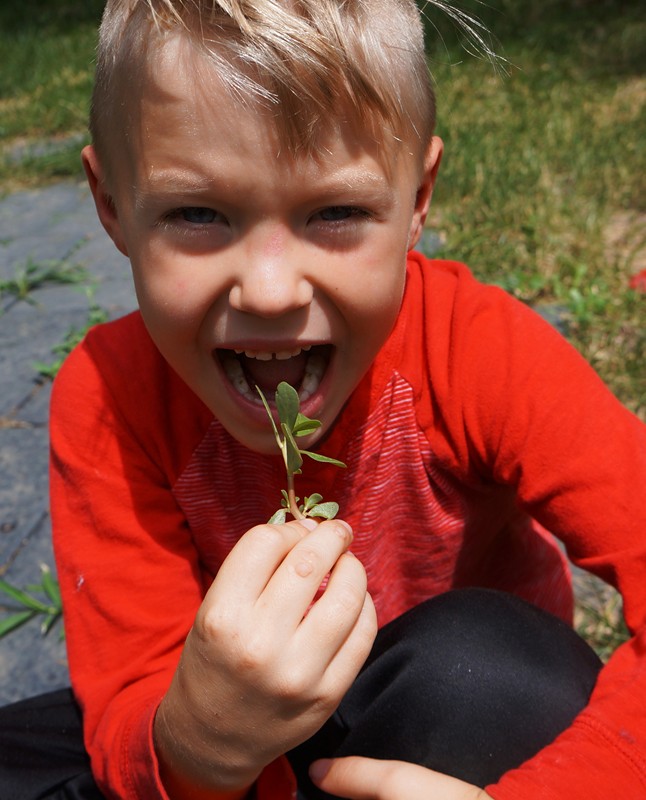 Foraging – South Dakota – Logan Spader