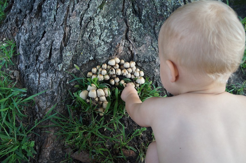 Foraging – South Dakota – Logan Spader